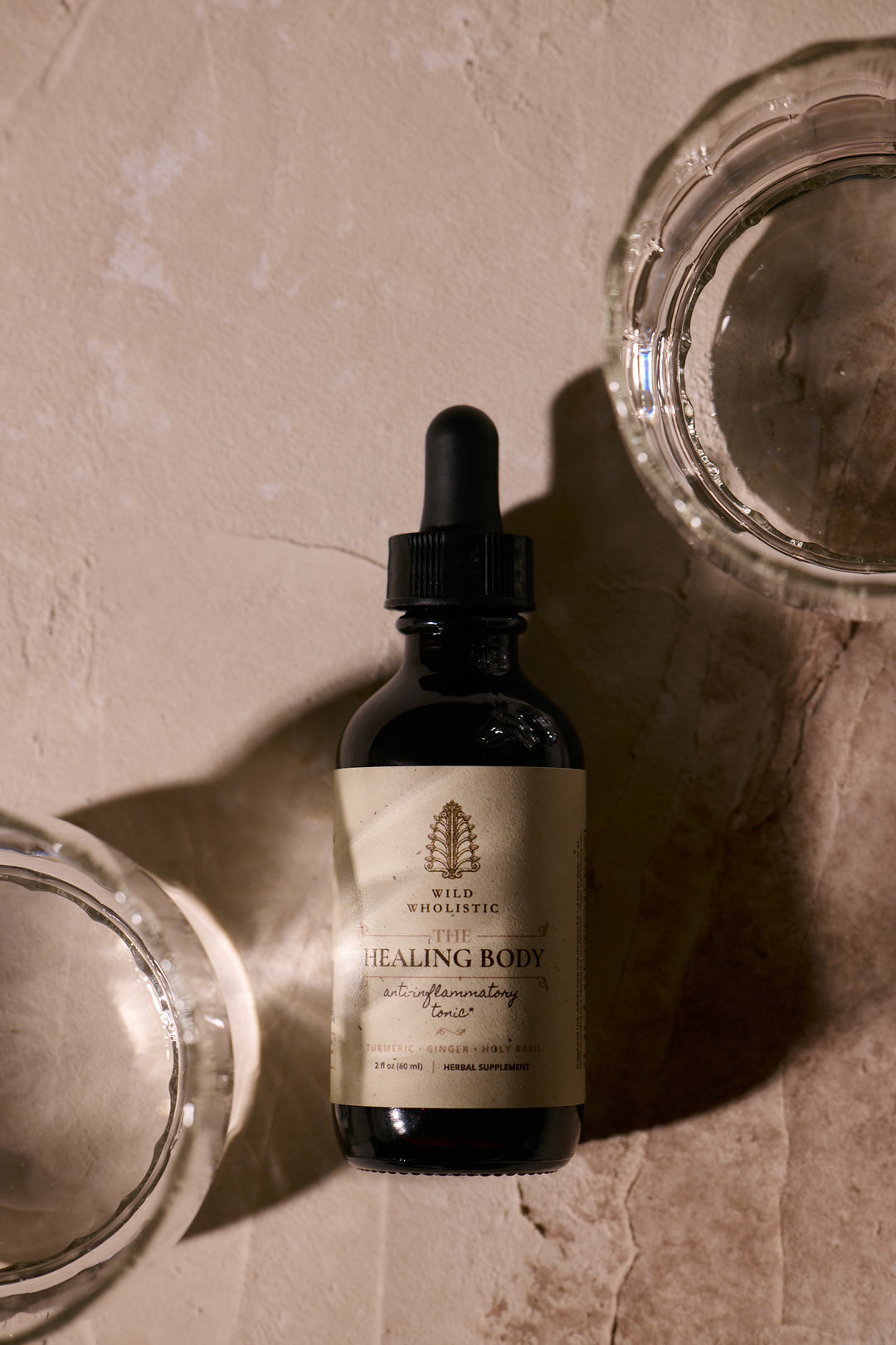 THE HEALING BODY – Wild Wholistic