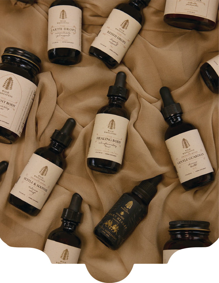 THE NOURISHED BODY – Wild Wholistic